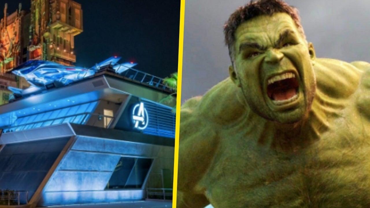 Mark Ruffalo Has Perfect Response to Avengers Campus’ Incredible Hulk ...