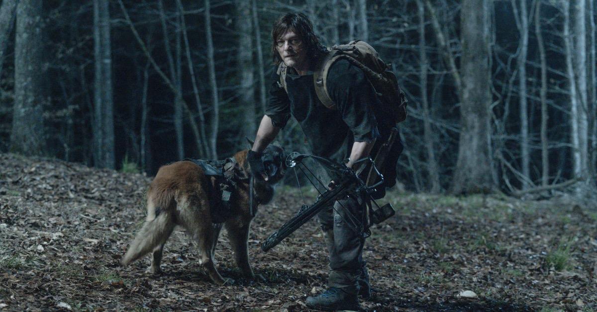 Does Daryl's Dog Die on The Walking Dead? - ComicBook.com