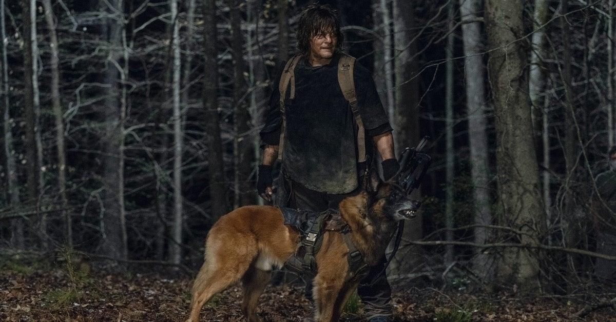 "If Dog Dies We Riot": The Walking Dead Fans Fear for Daryl's Dog in ...