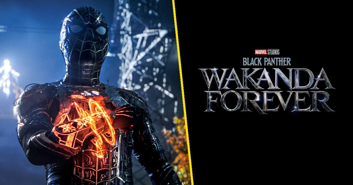 How Spider-Man: No Way Home Potentially Connects to Black Panther ...