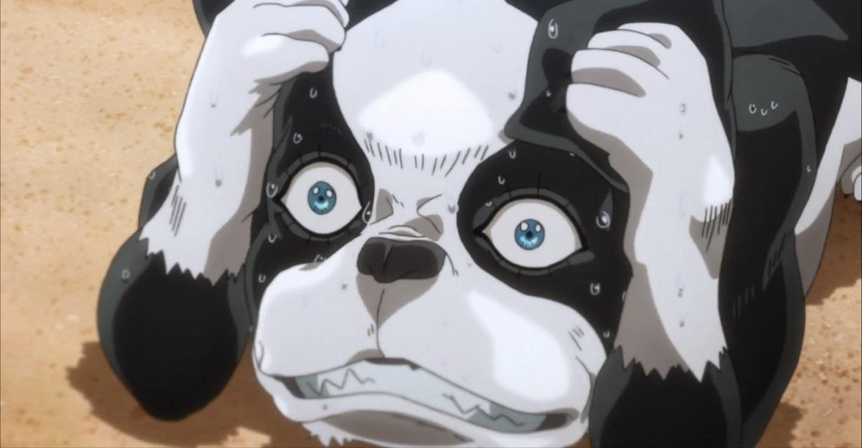 JoJo's Bizarre Adventure Brings Back Iggy In New Spin-Off - ComicBook.com