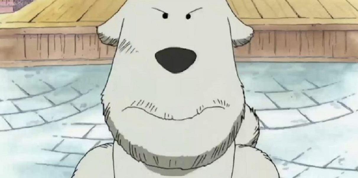 Netflix's One Piece Might Have Revealed Its Cutest Casting Yet ...