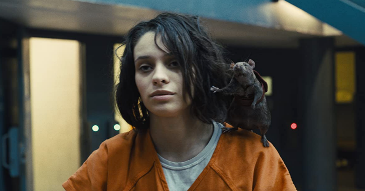 The Suicide Squad Director James Gunn Celebrates World Rat Day ...