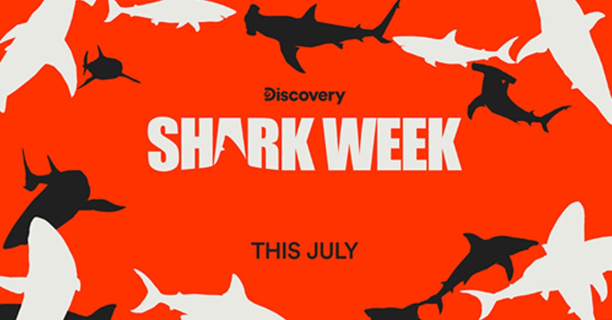 Shark Week 2022 Gets First Teaser and Premiere Date From Discovery ...