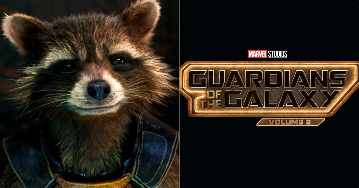 Guardians of the Galaxy Vol. 3 First Footage Teases Baby Rocket Raccoon ...