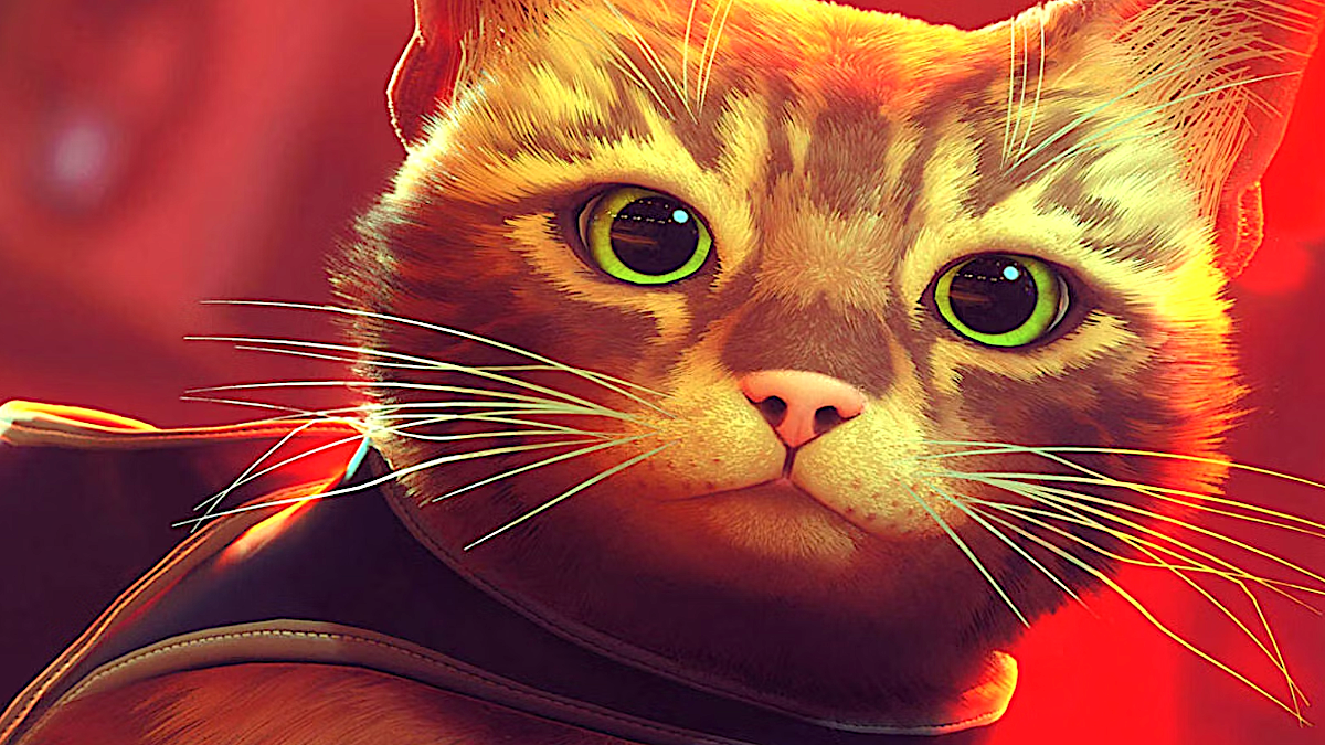 Stray Is Getting a Movie Adaptation - ComicBook.com