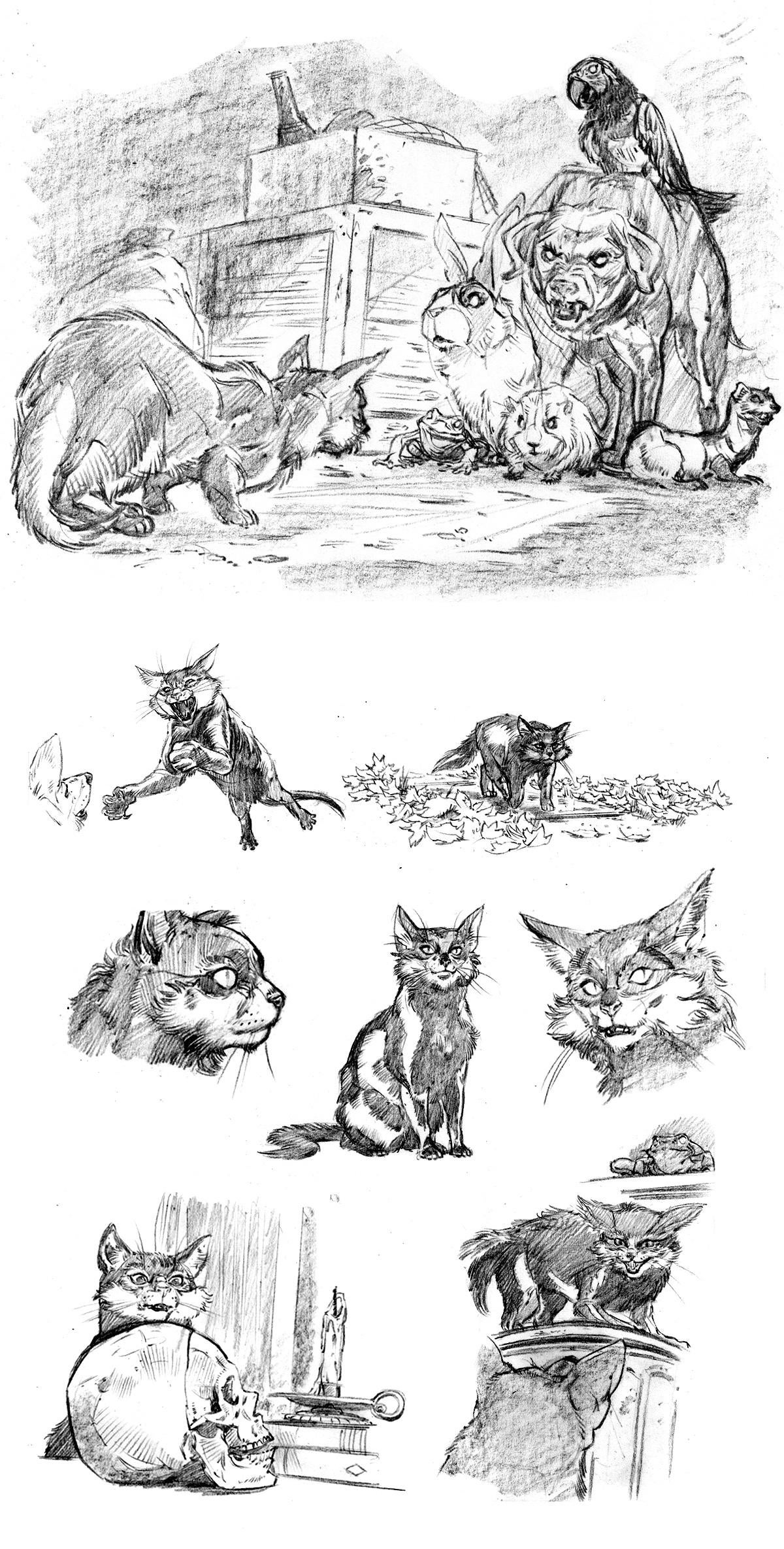 Sabrina's Cat Salem Gets His Own Comic for Halloween - ComicBook.com