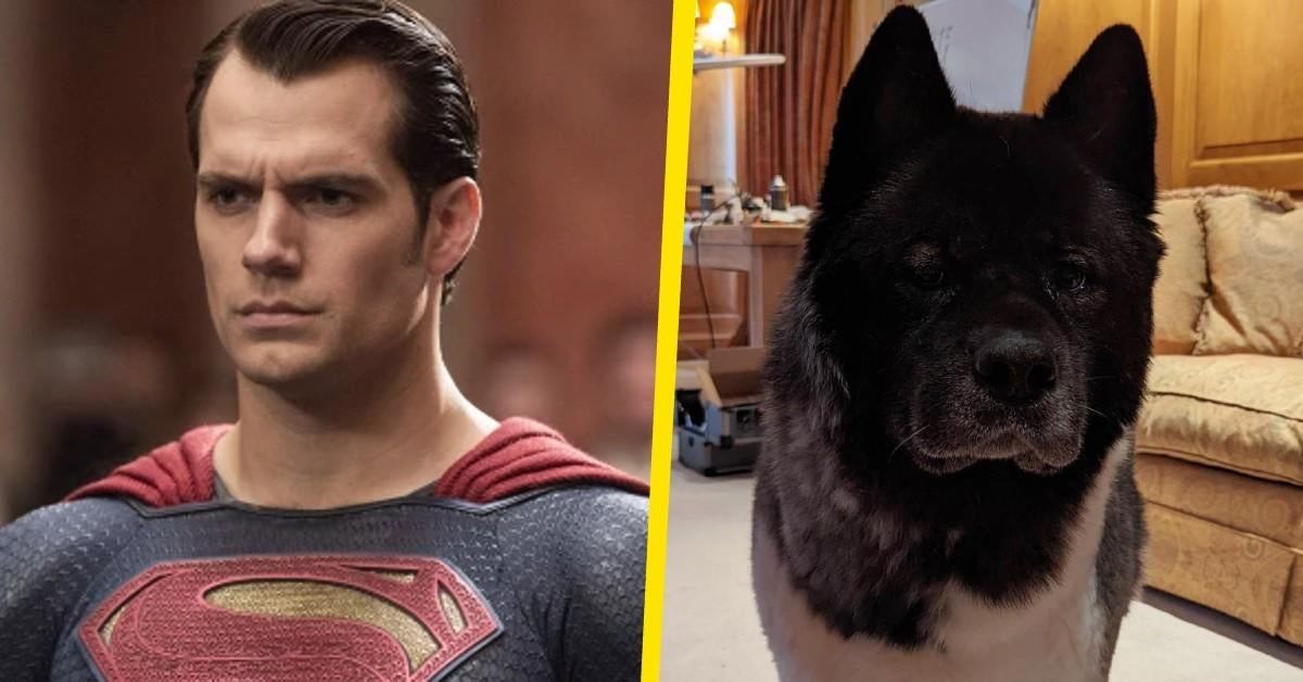 Henry Cavill Reveals His Dog Kal's Super Power - ComicBook.com