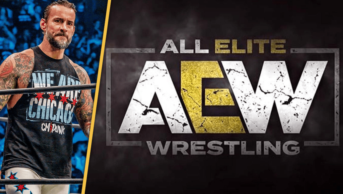 Top AEW Star "Absolutely" Wants a CM Punk Return - ComicBook.com