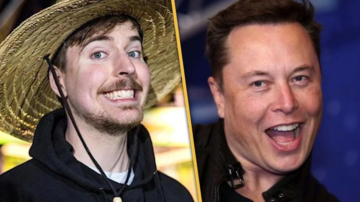 MrBeast Wants to Be Twitter's New CEO and Elon Musk Might Be Interested ...