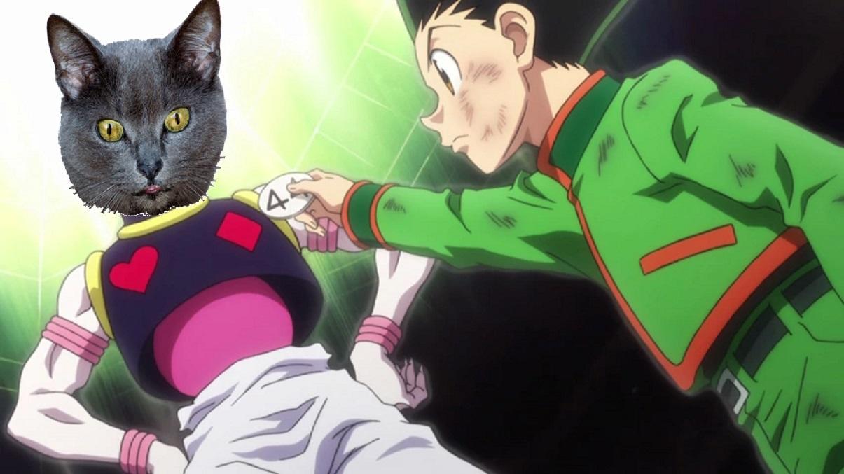 Hunter x Hunter Gets Cute Makeover With This Viral Cat Cosplay ...