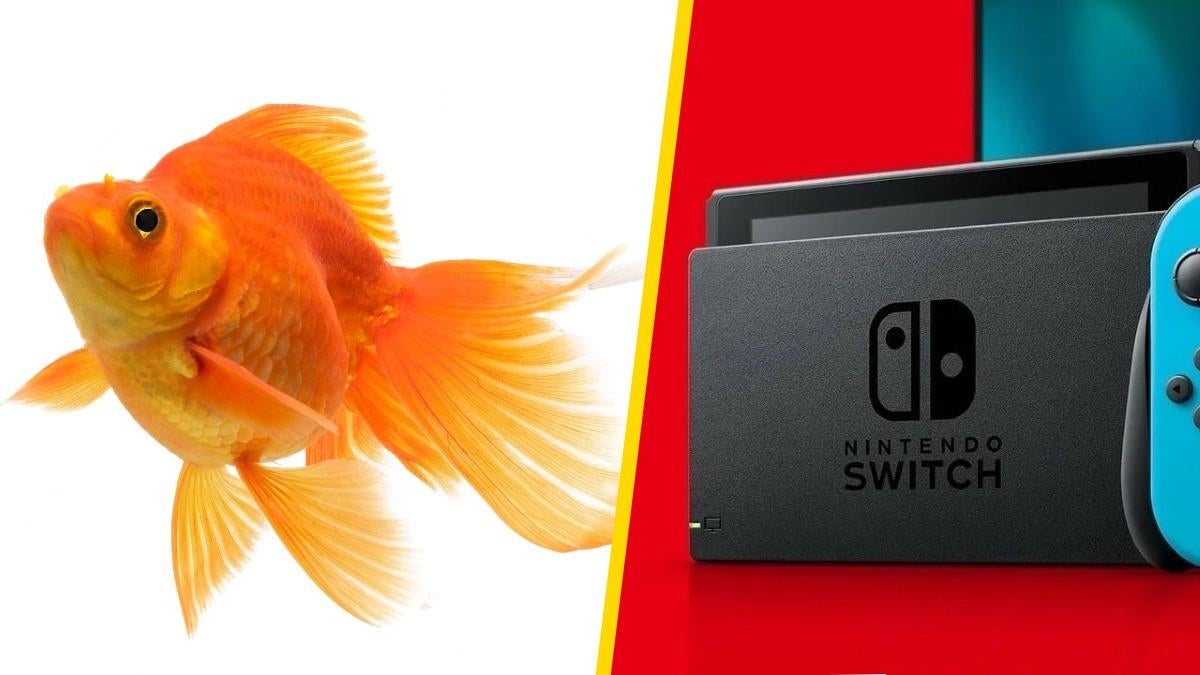 Nintendo Switch Owner's Pet Fish Commits Credit Card Fraud - ComicBook.com