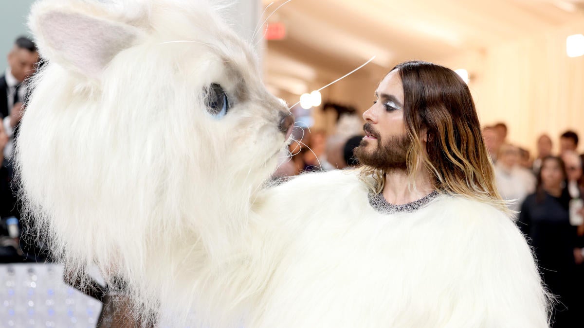 Jared Leto Prowls the Met Gala in Bizarre Furry Cat Suit - ComicBook.com
