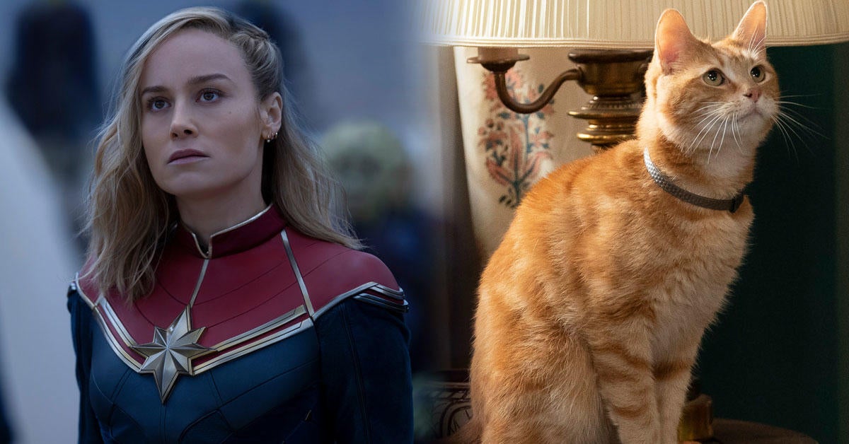 The Marvels EP Teases Big "Surprises" for Goose