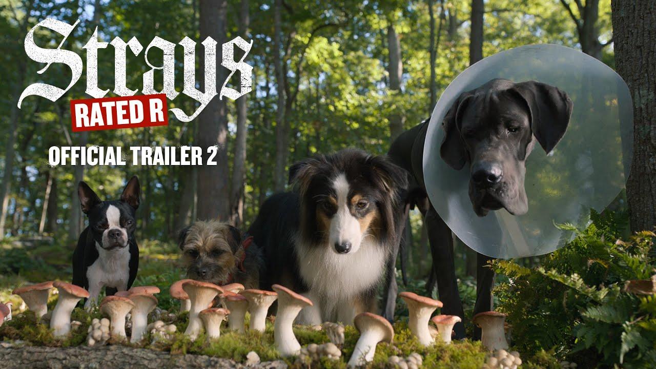 Strays Gets R-Rated New Trailer - ComicBook.com