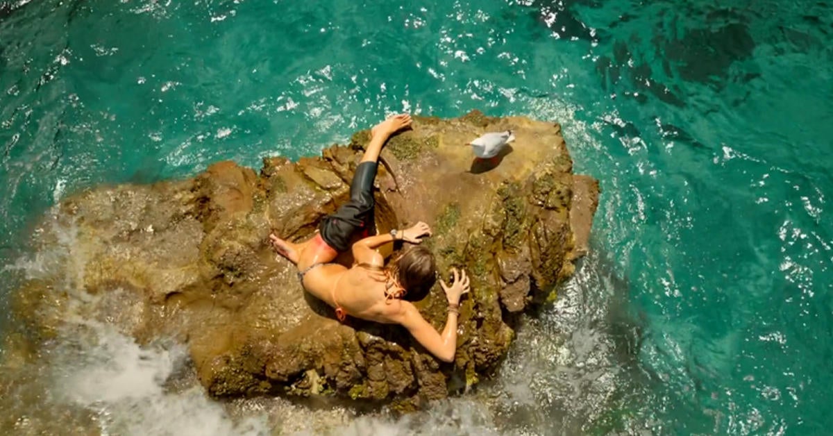 The 10 Best Shark Movies That Aren't Jaws and Where to Stream ...
