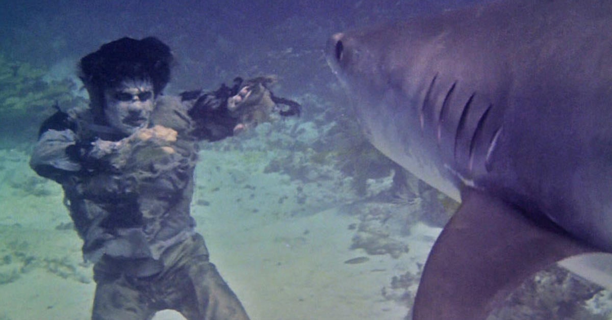 The 10 Best Shark Movies That Aren't Jaws and Where to Stream ...