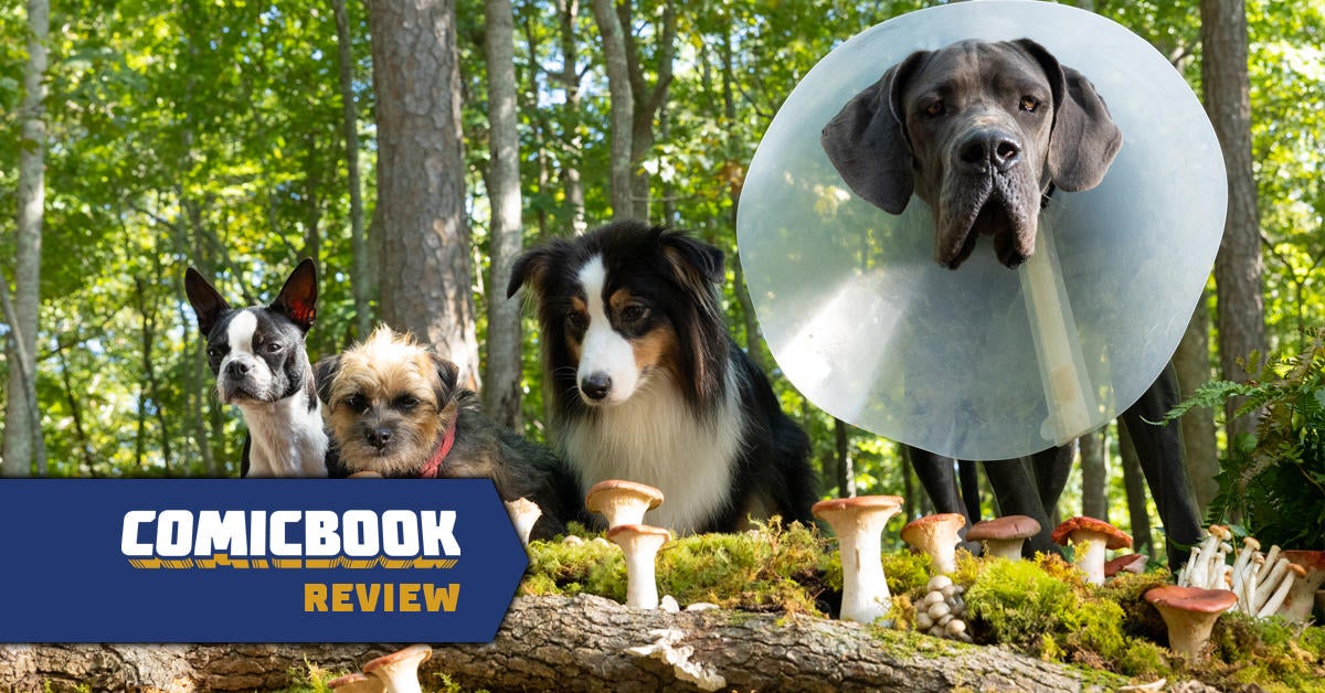 Strays Review: This Uninspired Comedy Will Make You Wish You Could Play ...