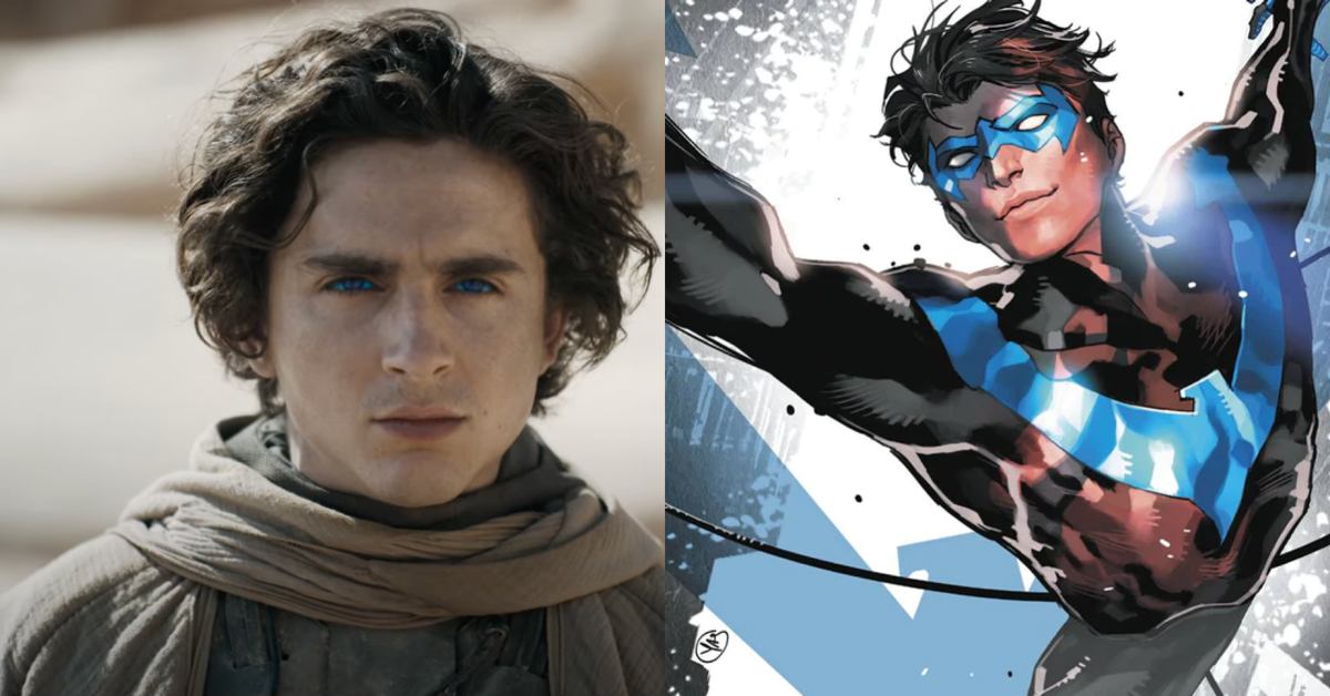Timothee Chalamet Suits Up as Nightwing in DCU Fan Art - ComicBook.com