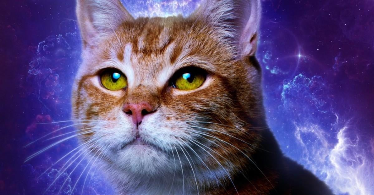 The Marvels: Goose Takes Over the Las Vegas Sphere - ComicBook.com