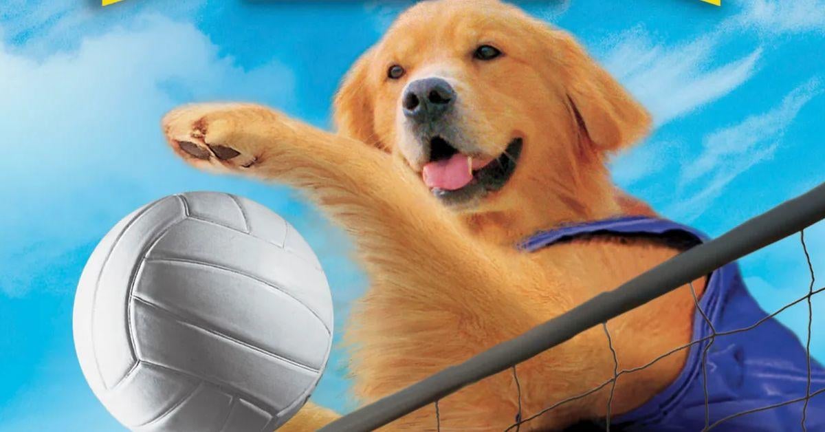 Air Bud Movie Collection Now Streaming on Disney+ - ComicBook.com