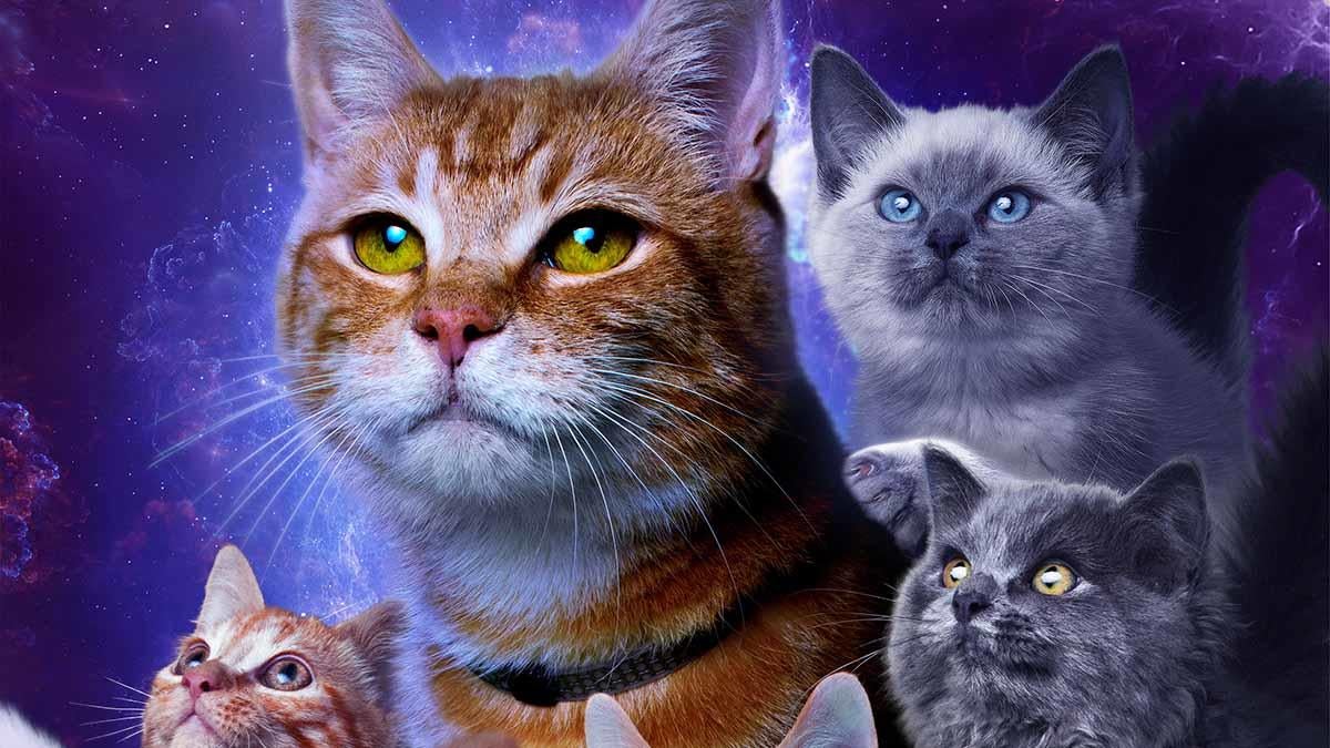 The Marvels Gets Hilarious Goose Poster for National Cat Day ...