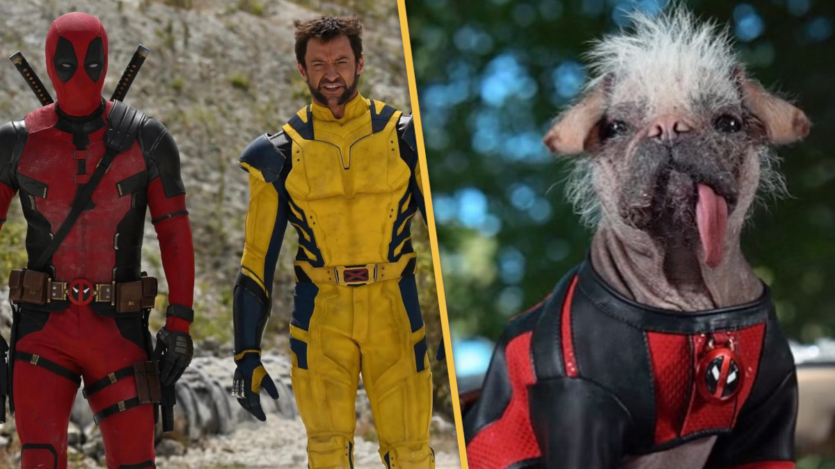 Ryan Reynolds Announces Dogpool Appearance in Deadpool 3 - ComicBook.com