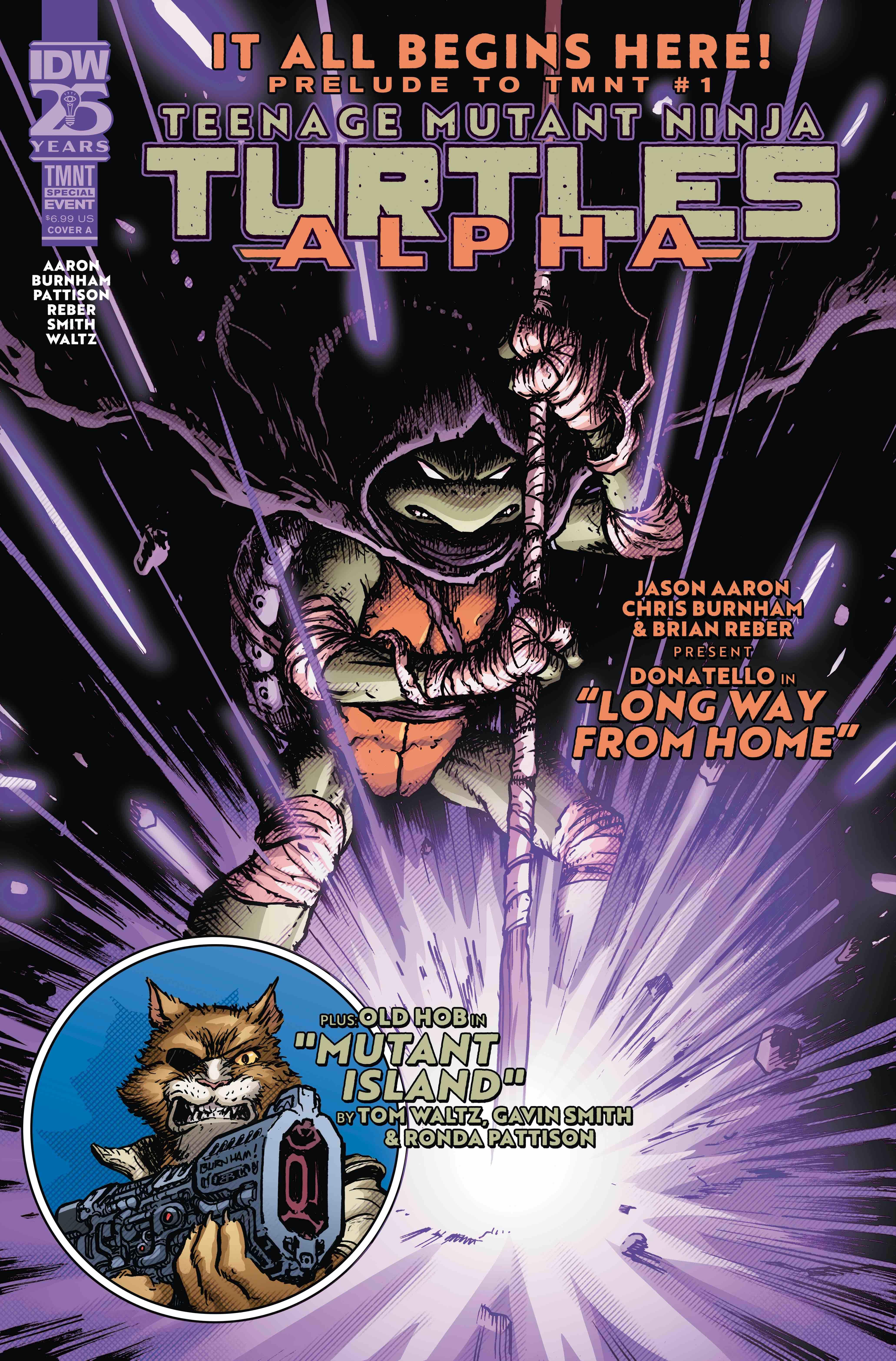 Teenage Mutant Ninja Turtles: Chris Burnham Talks Jason Aaron's ...