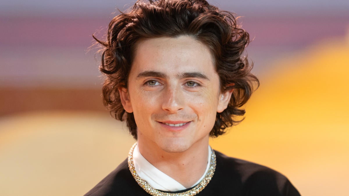 Timothée Chalamet Signs New Warner Bros. Deal After Dune and Wonka Success - ComicBook.com