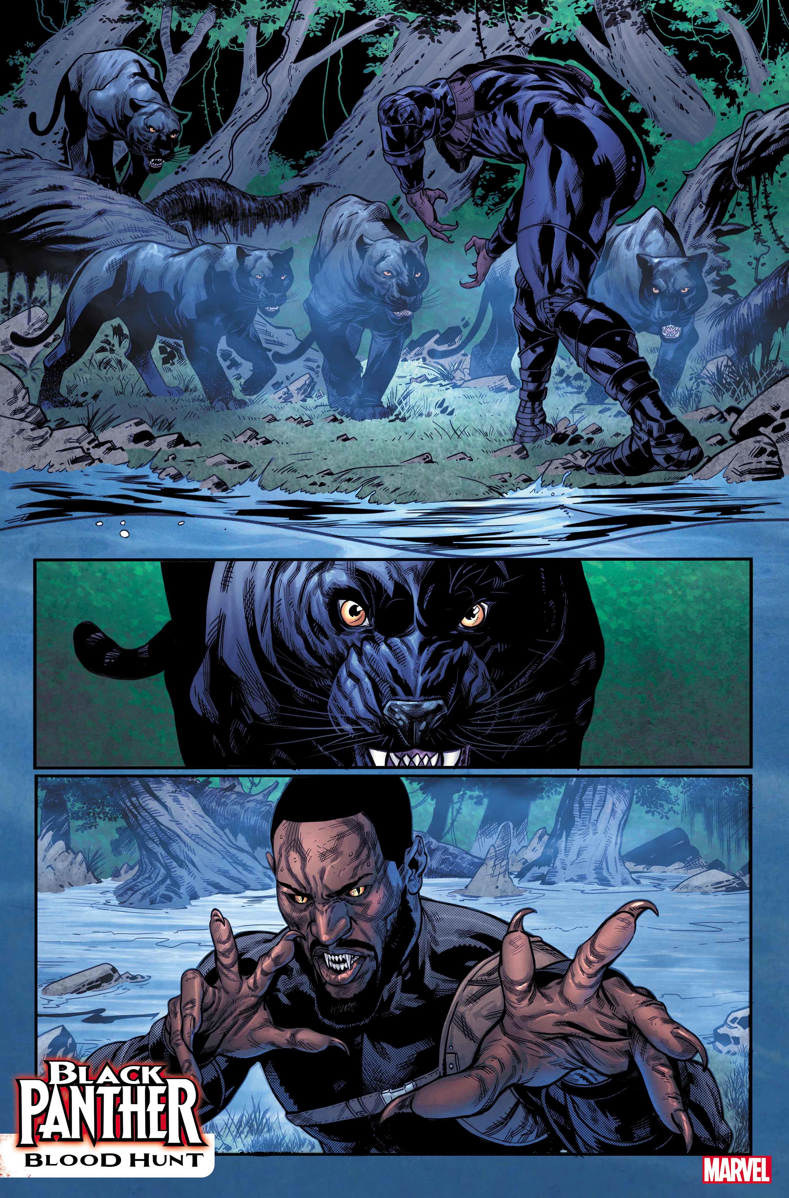Black Panther: Blood Hunt Writer Cheryl Lynn Eaton on T'Challa's ...