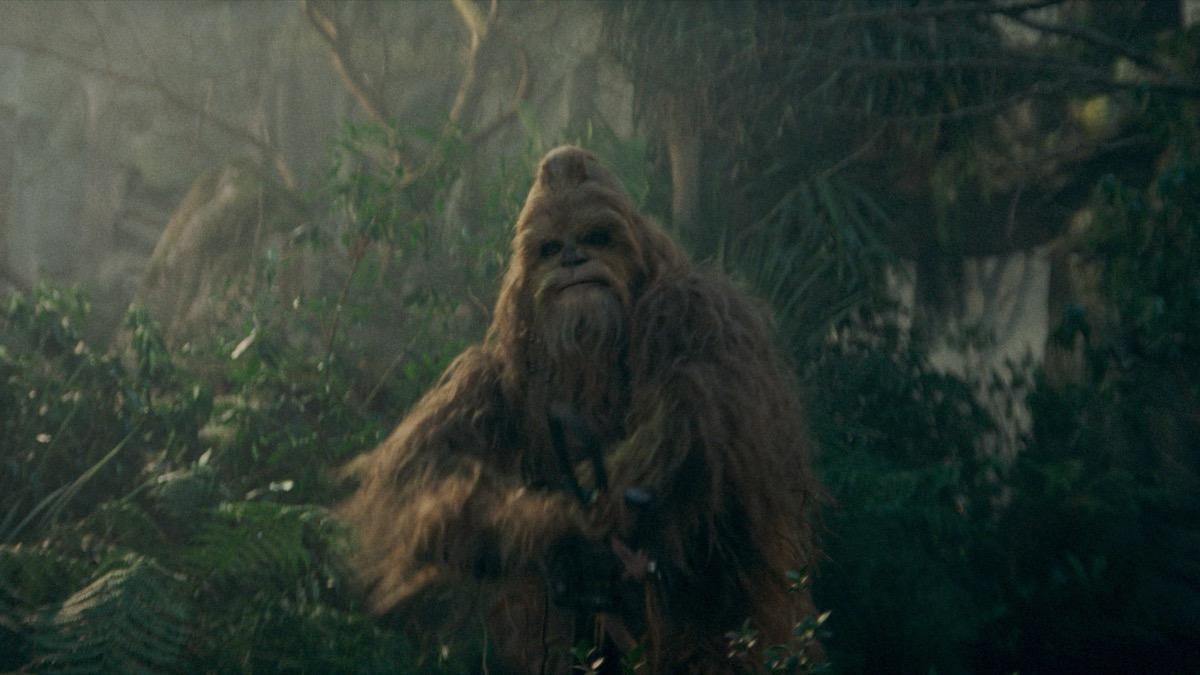 Star Wars: The Acolyte's Joonas Suotamo Reacts to Wookiee Jedi Kelnacca ...