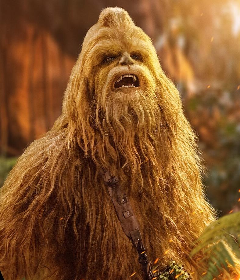 Star Wars: The Acolyte's Wookiee Jedi, Explained