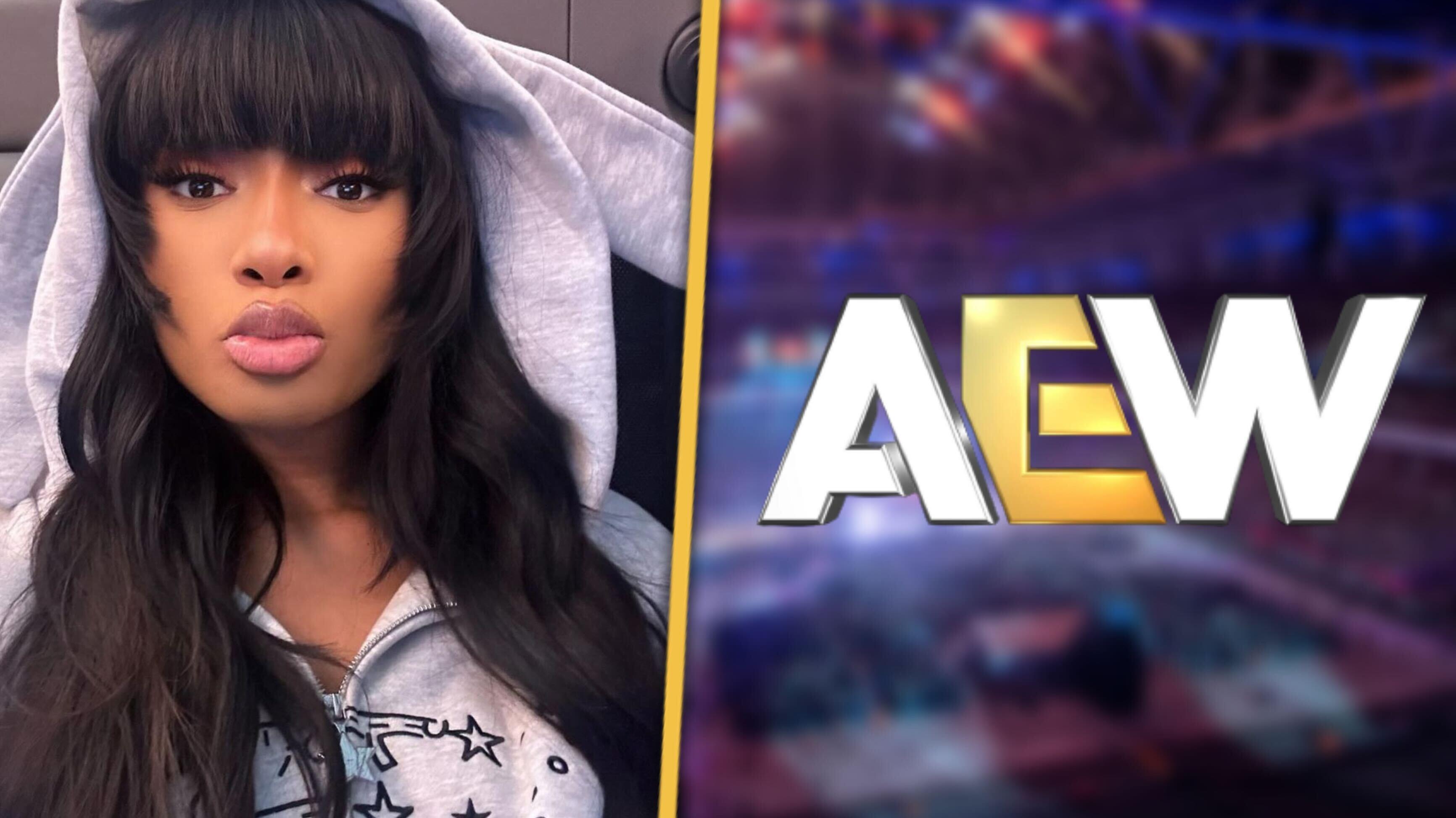 Megan Thee Stallion Had Discussions About Working With AEW Champion ...