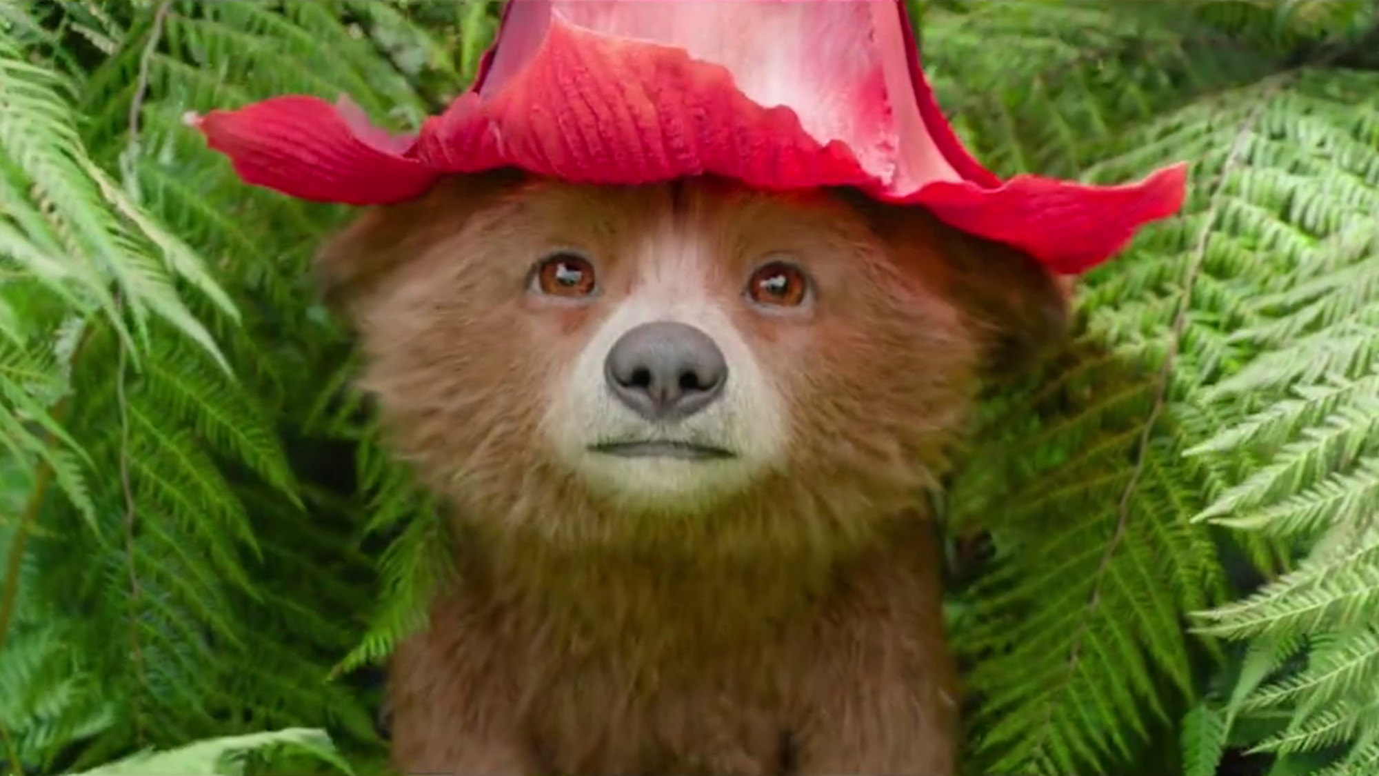 New Paddington in Peru Trailer Shows Baby Paddington (And It's Cuter ...