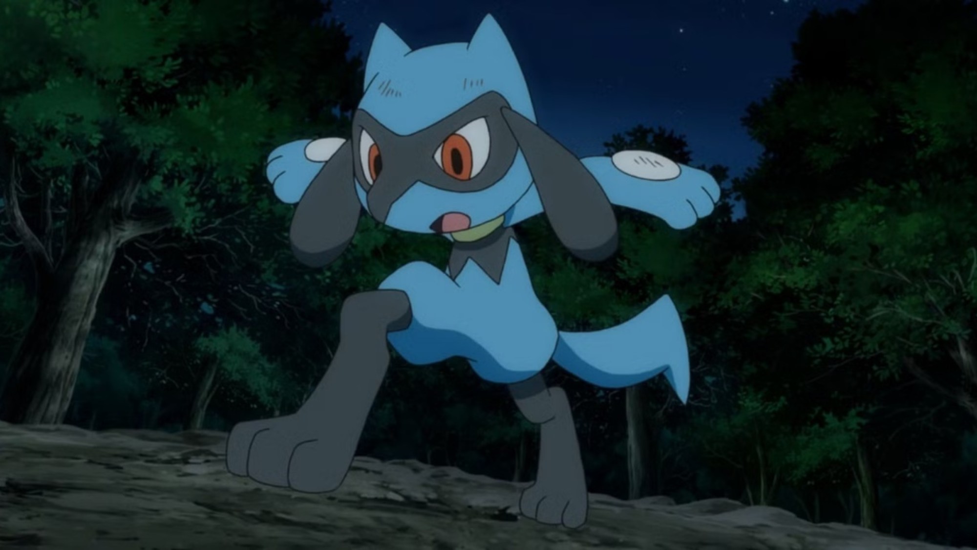 Lucario And Riolu Temple Pokemon Pokemon Pictures