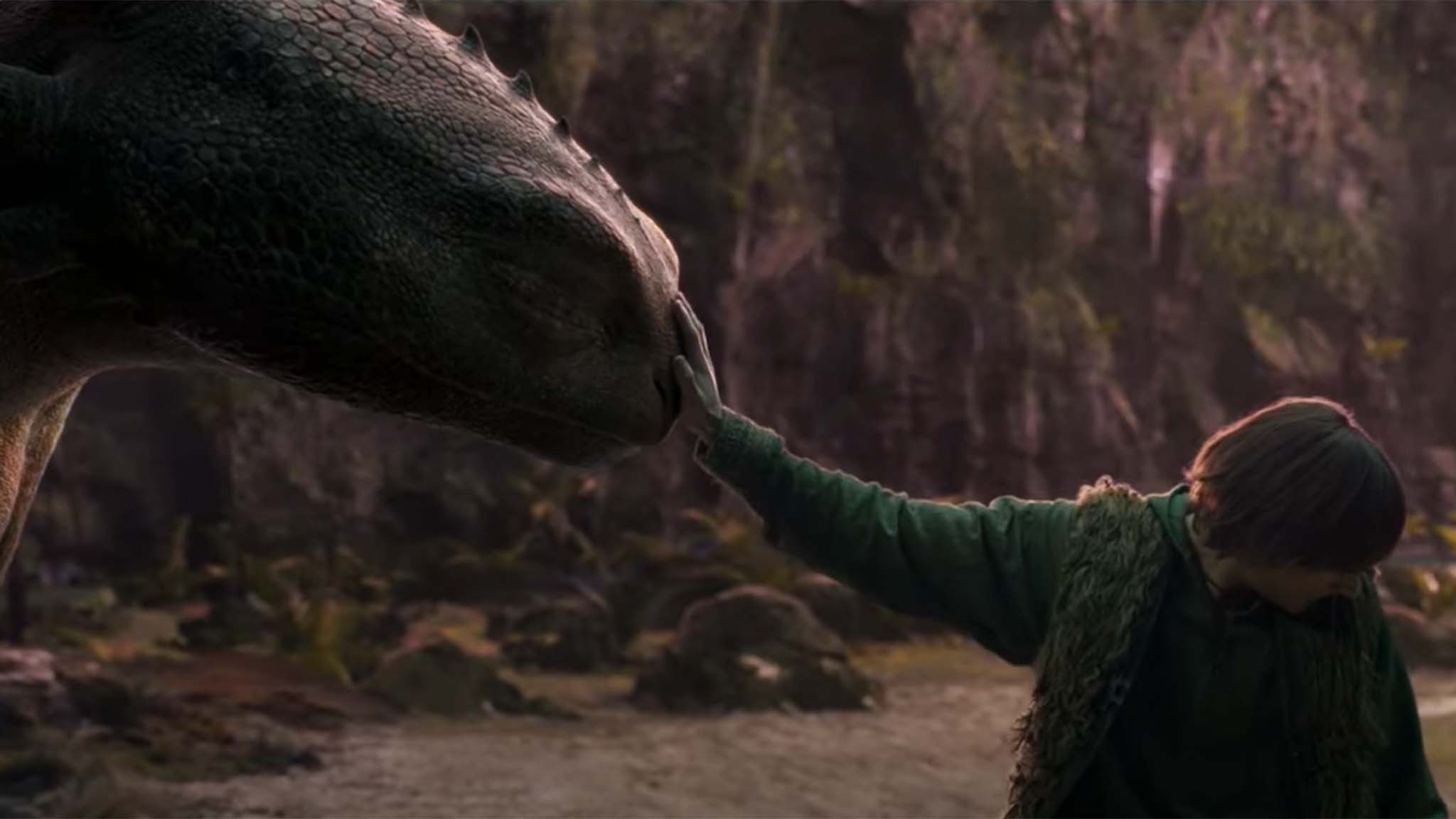 How To Train Your Dragon Reveals New Look at Live-Action World ...