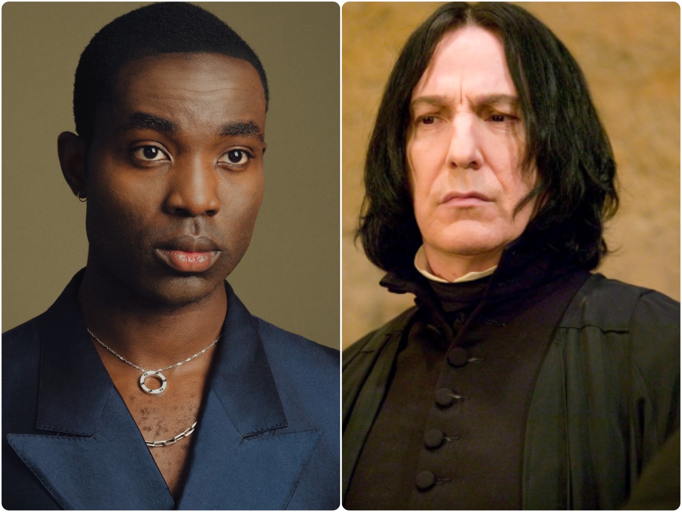 HBO's Harry Potter Series Snape Actor Revealed