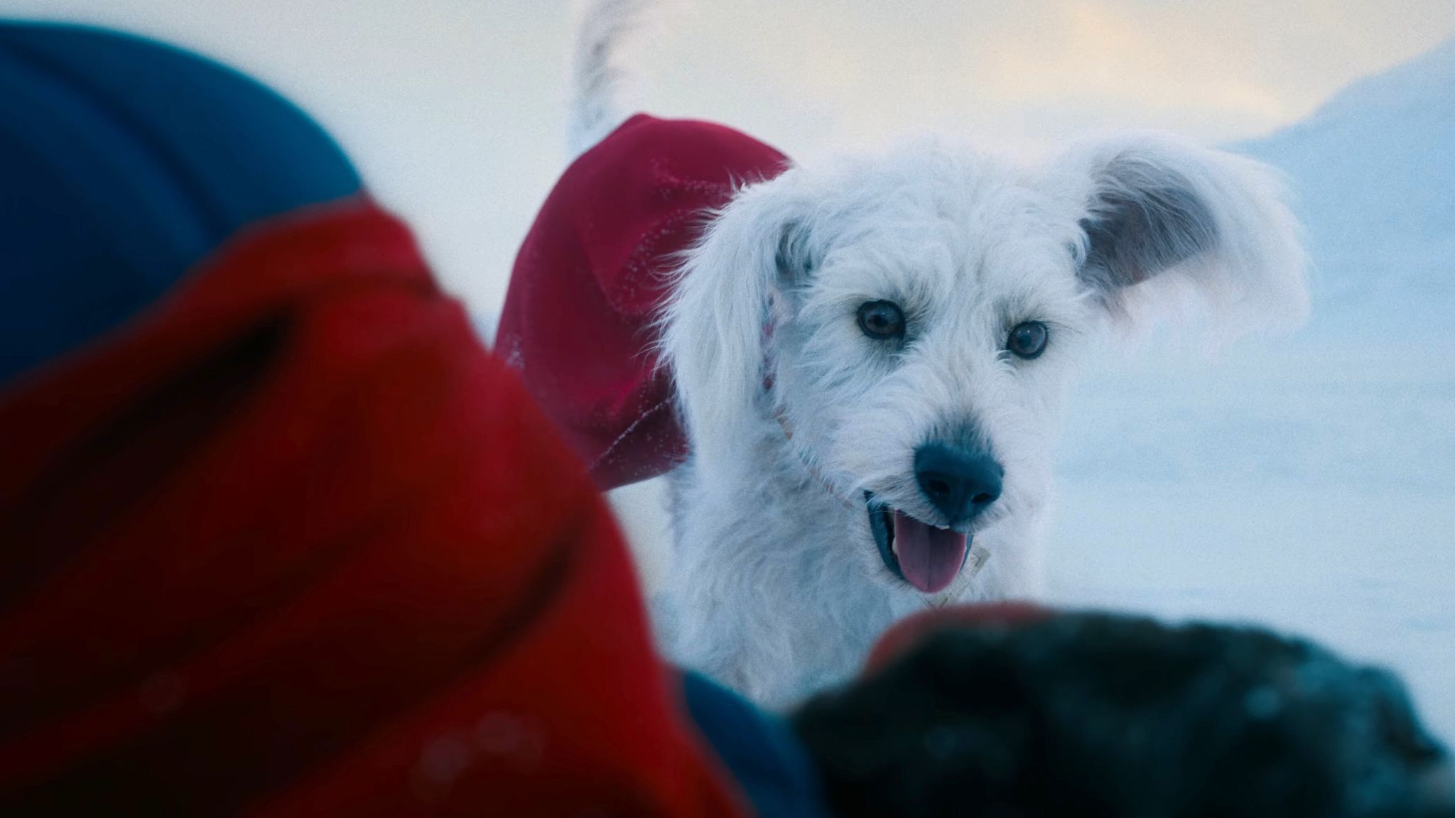 Superman's Dog: Everything to Know About Krypto (& Comic Book Origin ...