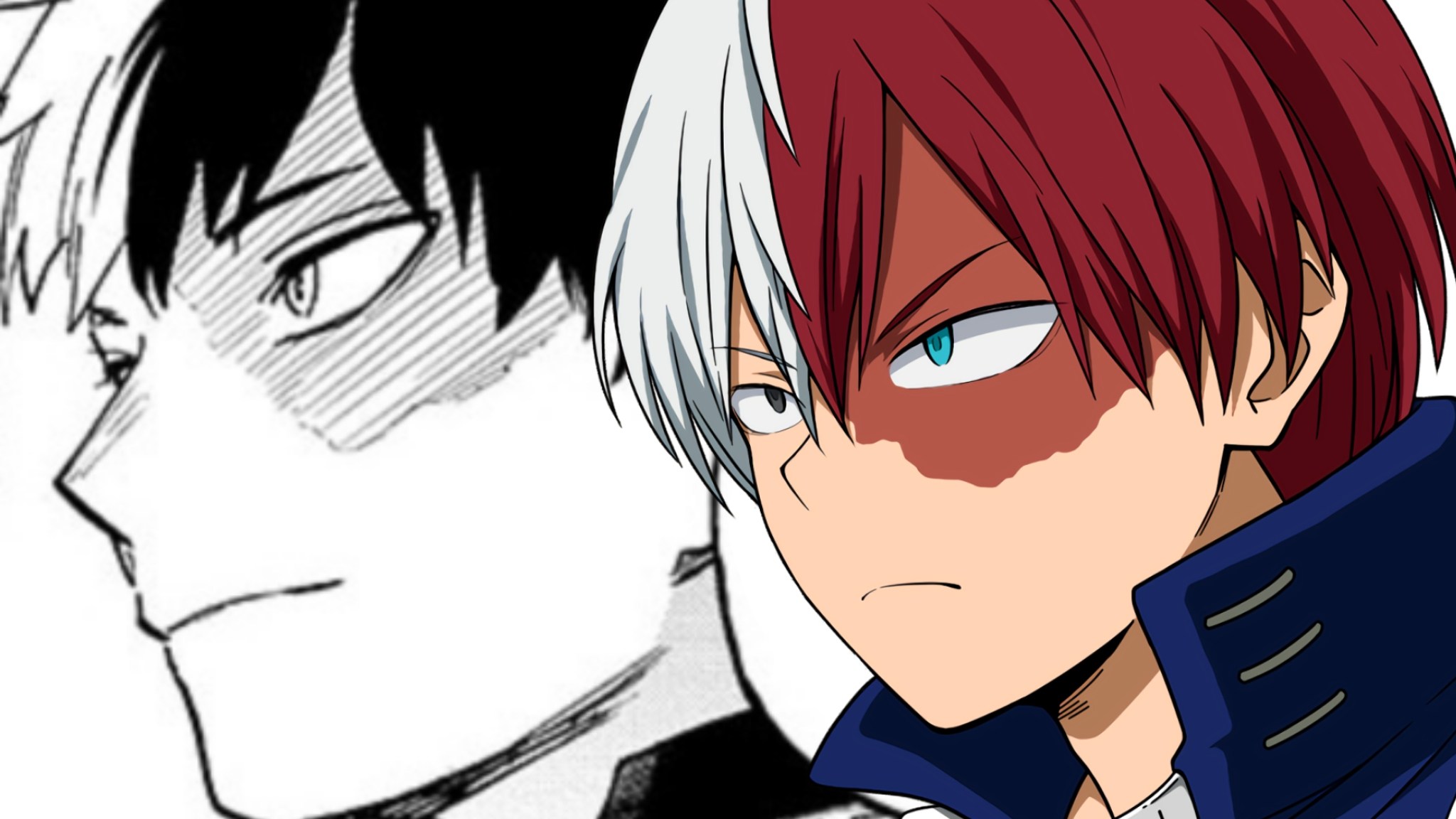 My Hero Academia Timeskip Reveals Shoto's Pro Hero Future (& His Real ...