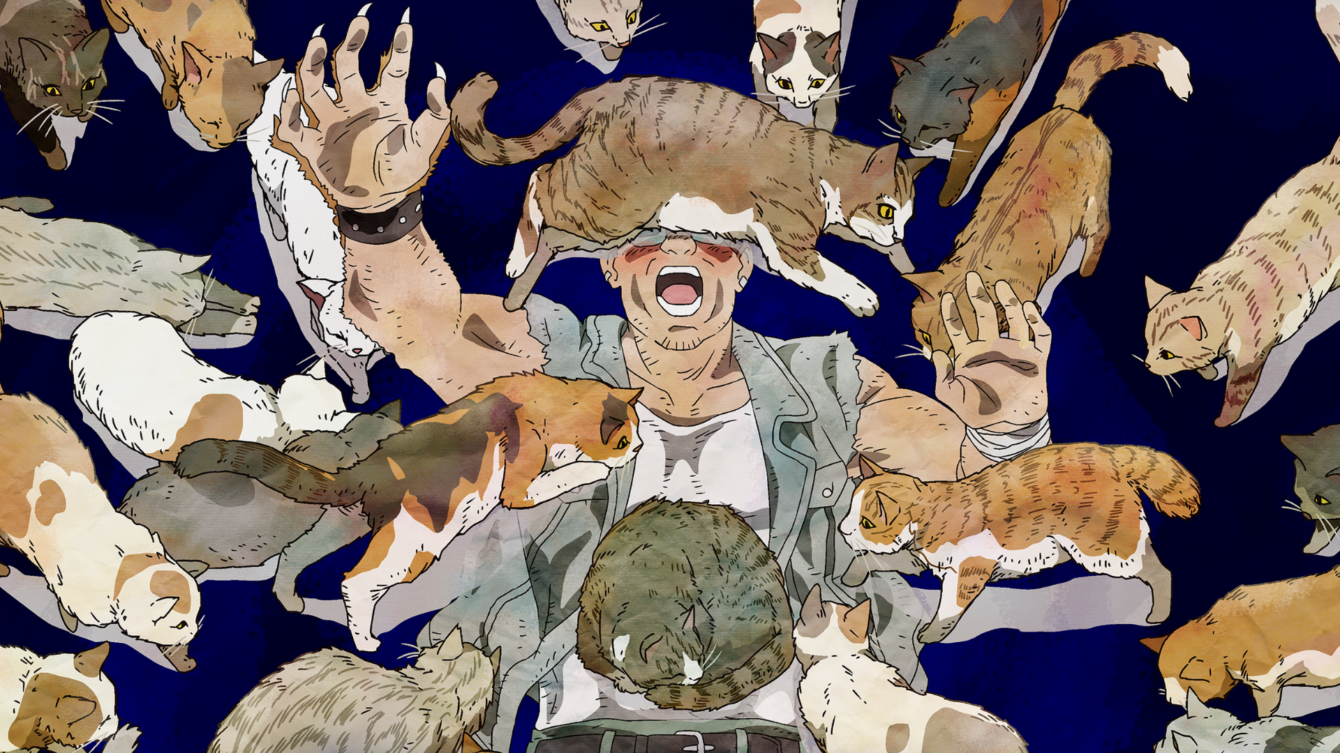 Hilarious Cat Pandemic Anime Hypes July Crunchyroll Release & Trailer ...