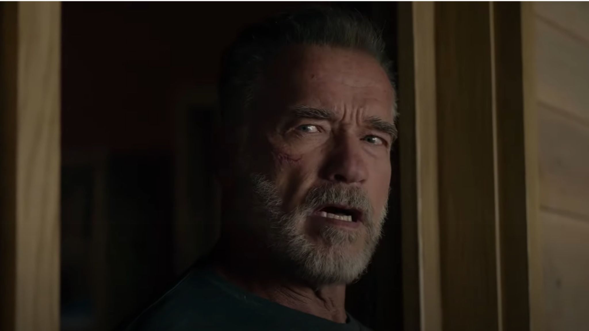 All 7 Terminator Characters Played by Arnold Schwarzenegger Ranked ...