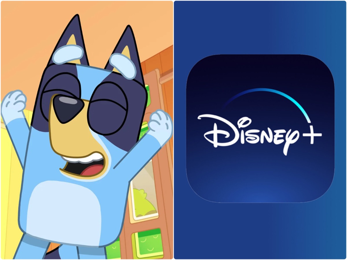 Disney+ Finally Adds New Bluey Content With a Surprise Release Treat ...