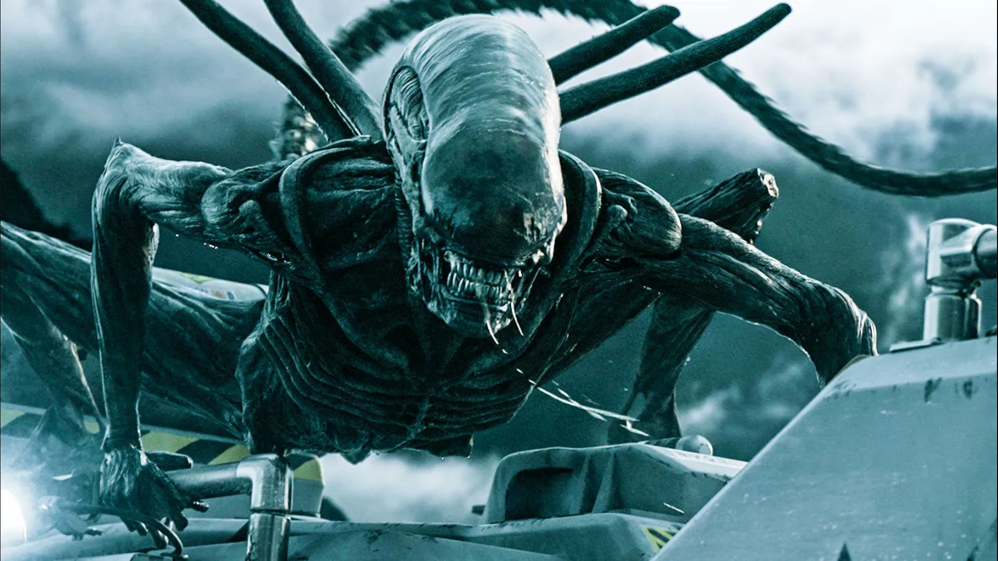 Mickey 17 Director Pitches Wild Idea for an Alien Film (And We Really ...