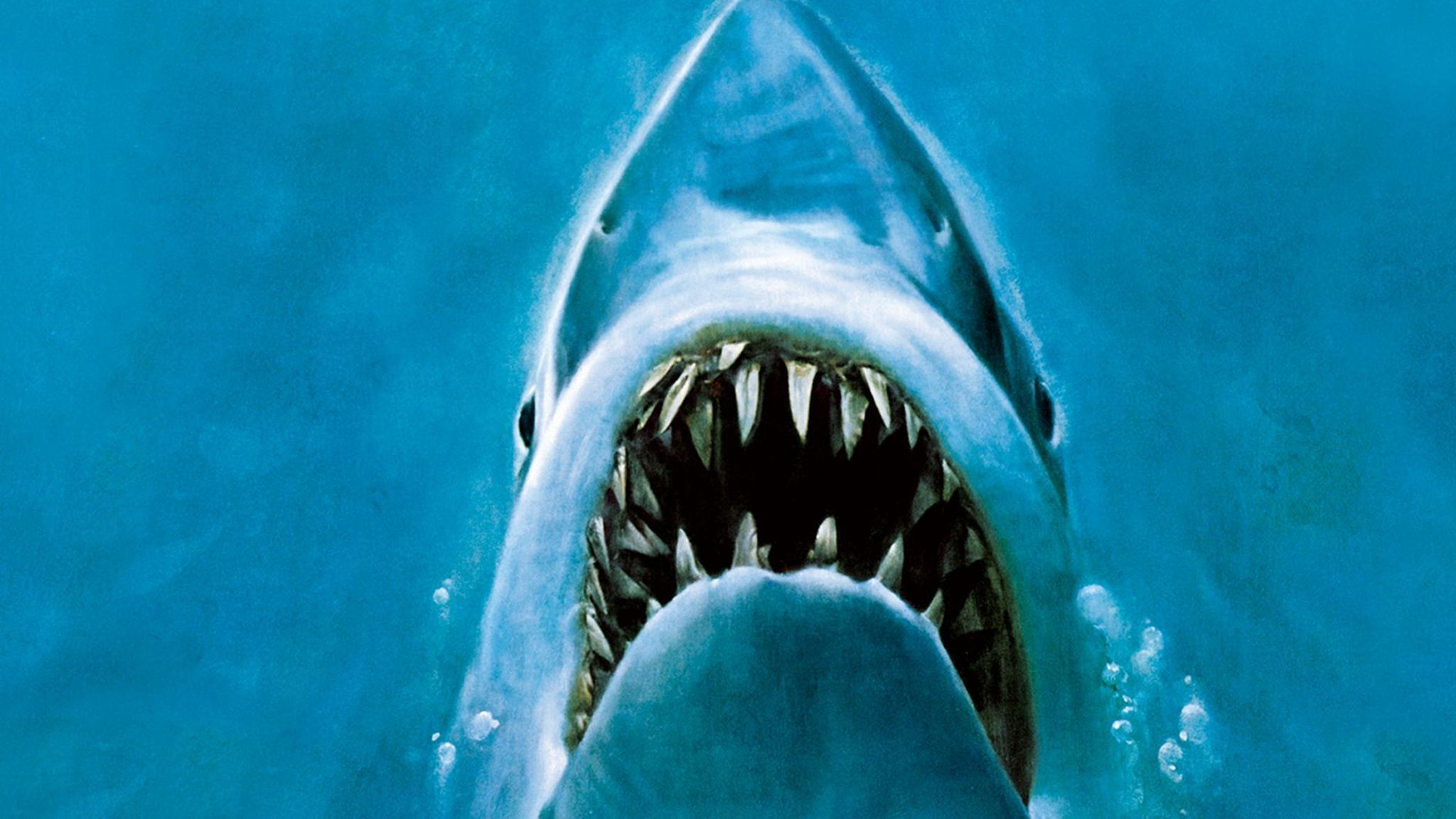 The Jaws Movies Ranked (From Chum to Apex Predator) - ComicBook.com