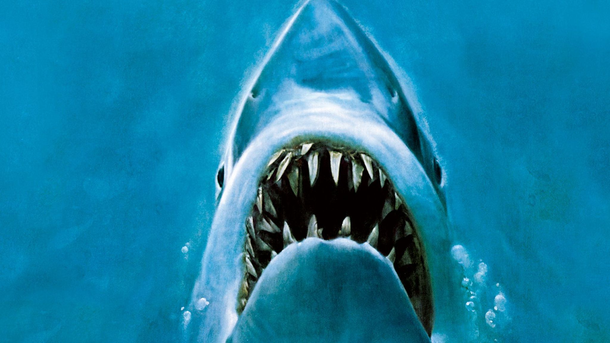 The Jaws Movies Ranked (From Chum to Apex Predator) - ComicBook.com