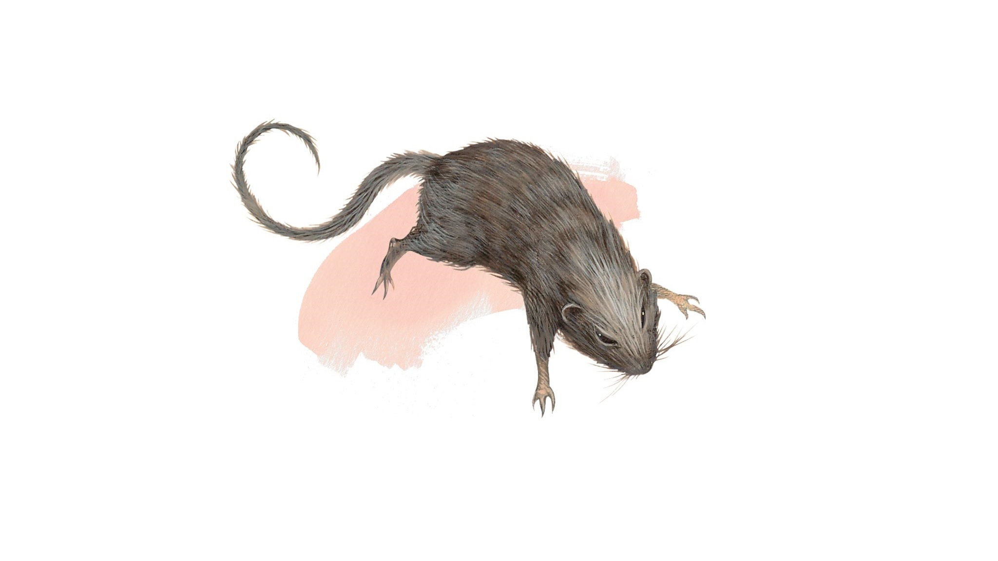 10 Low-Level Enemies to Add to Your Next D&D Campaign