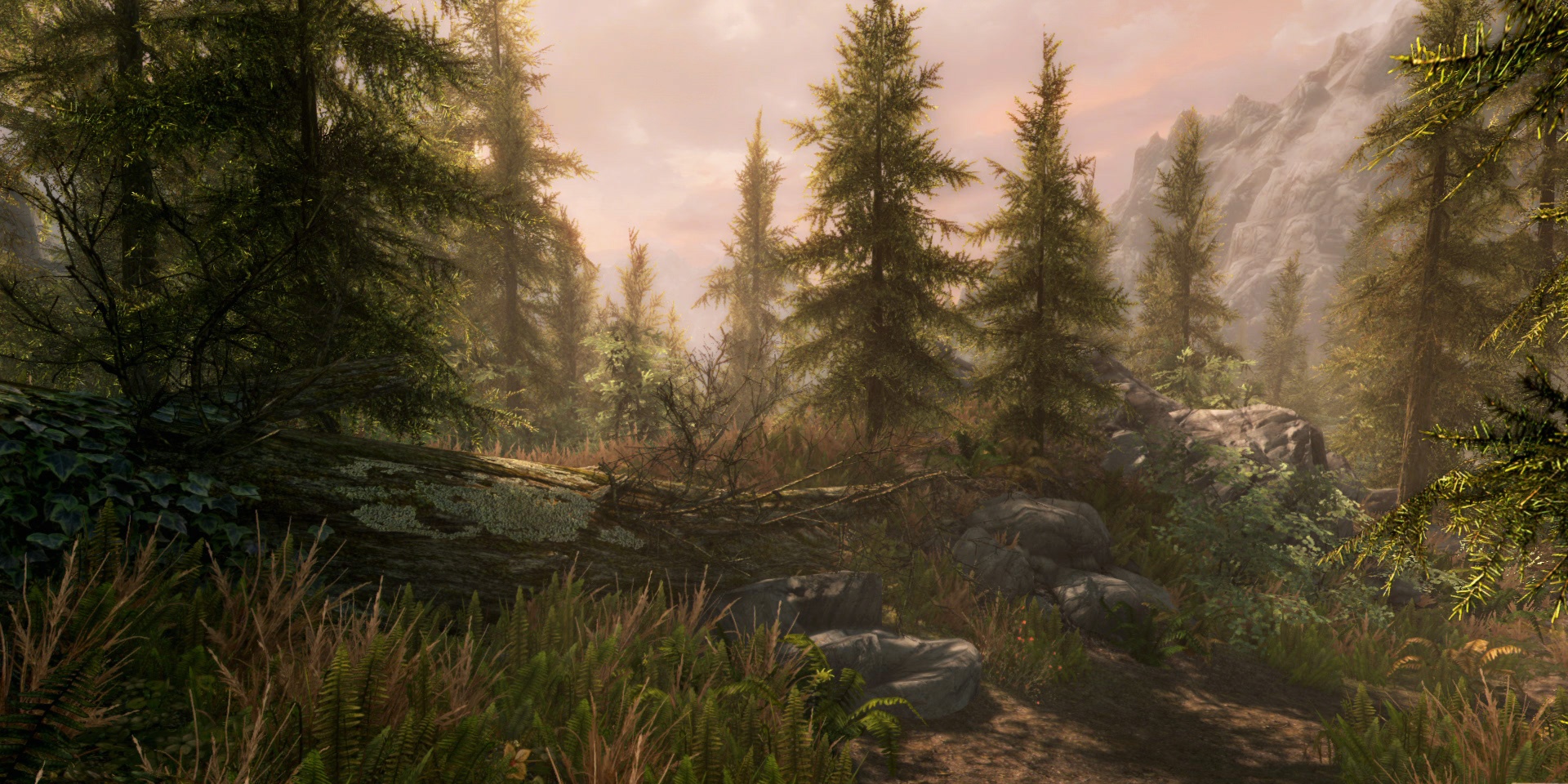 8 Must-Have Mods to Replay Skyrim
