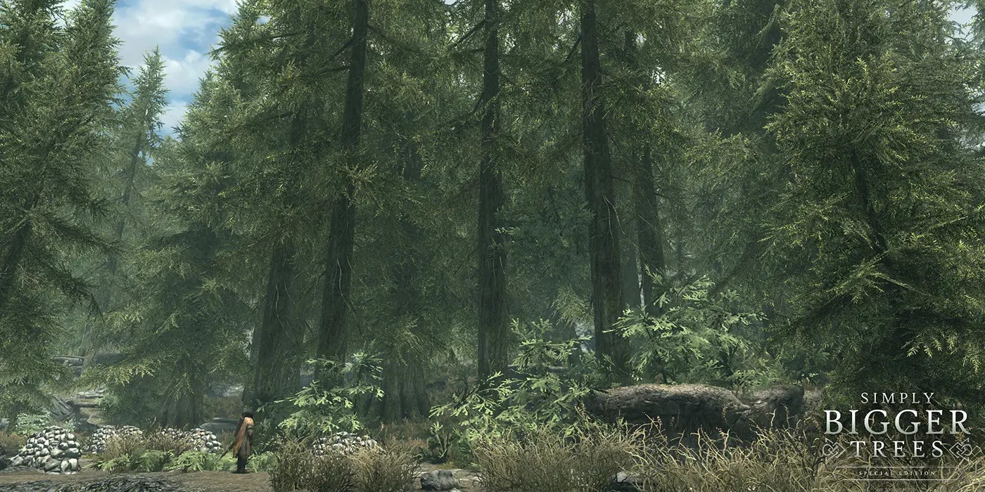8 Must-Have Mods to Replay Skyrim
