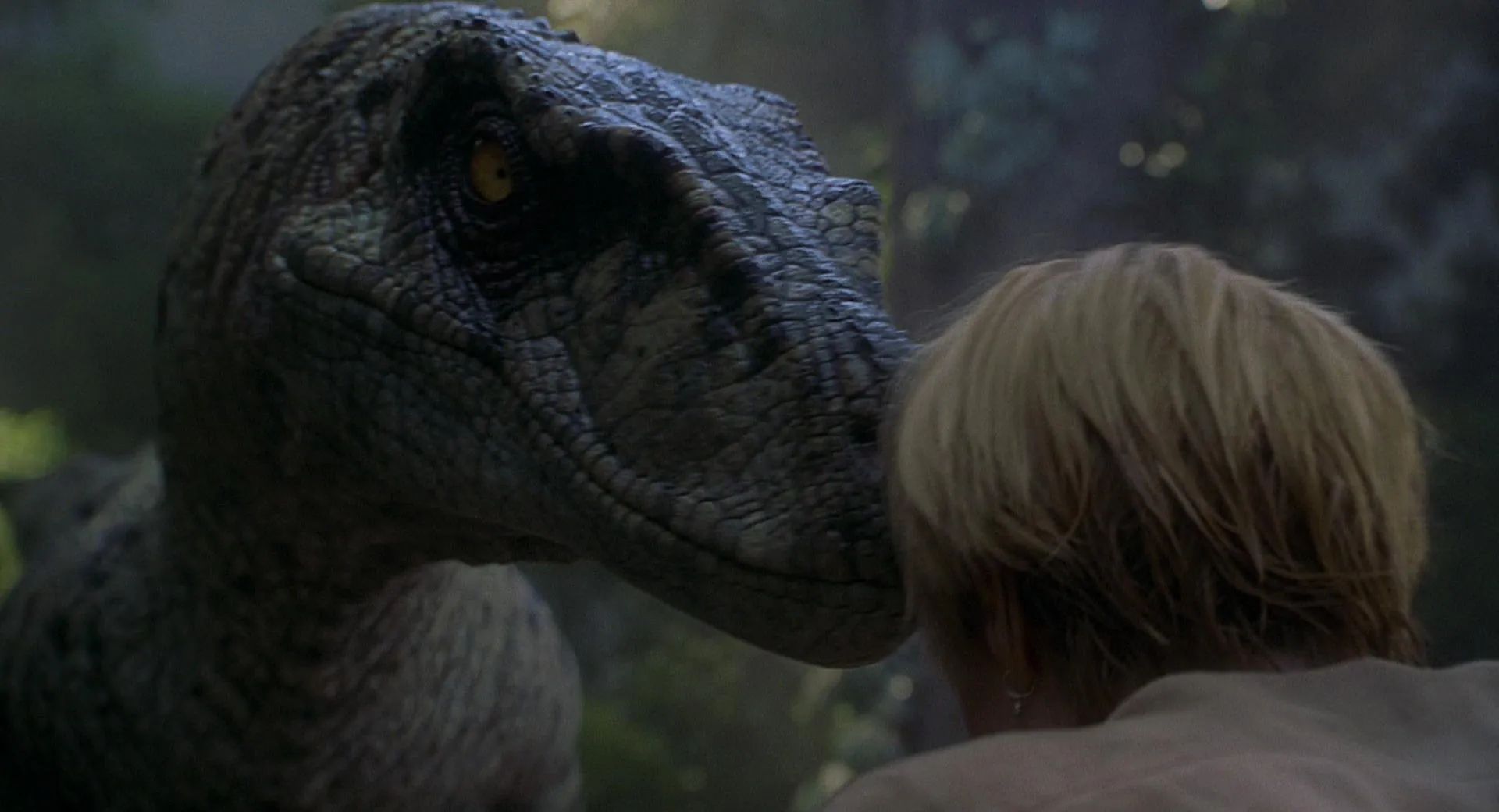 The 7 Best Velociraptor Scenes in the Jurassic Park Franchise ...