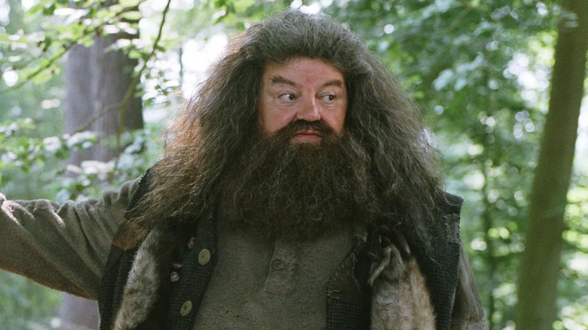HBO’s Harry Potter Series Finds Its Hagrid